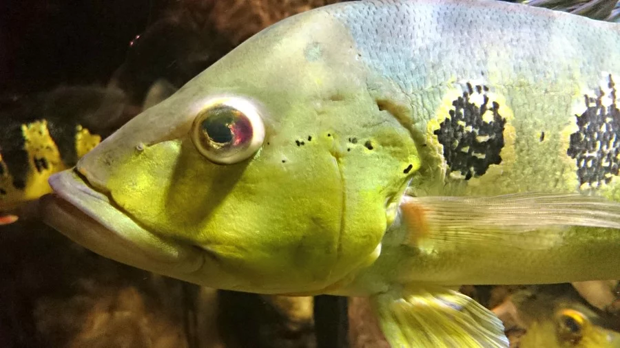 13 Things To Do In The Lake District With Toddlers