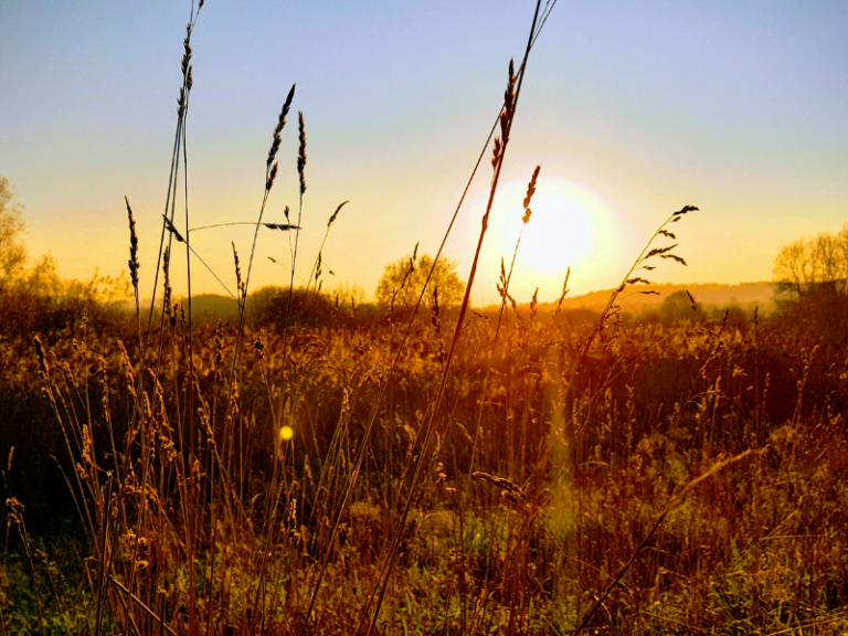 13 BEST Toddler Breaks For Tots - Perfect For Weekend & Short Breaks!