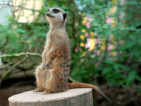 19 BEST Toddler Friendly Days Out In The UK