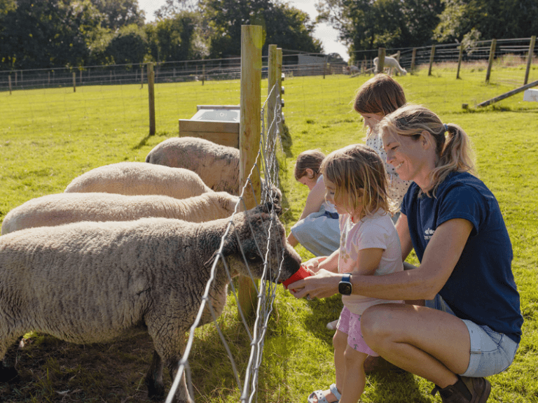 10 BEST Cottages For Babies & Toddlers In Cornwall