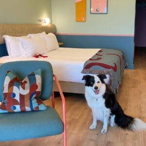 SeaSpace - Cornwall's First Coastal Aparthotel - Short Walk To The Beach!